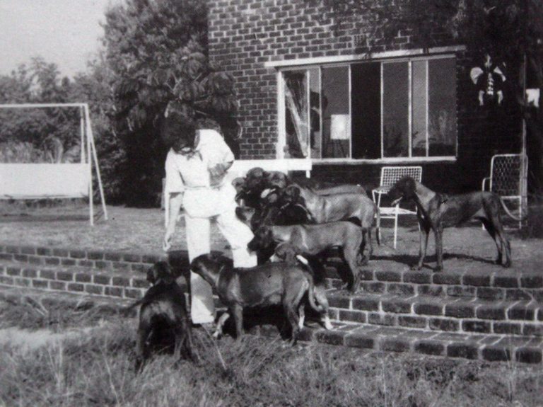 HOME - GLENAHOLM RHODESIAN RIDGEBACKS