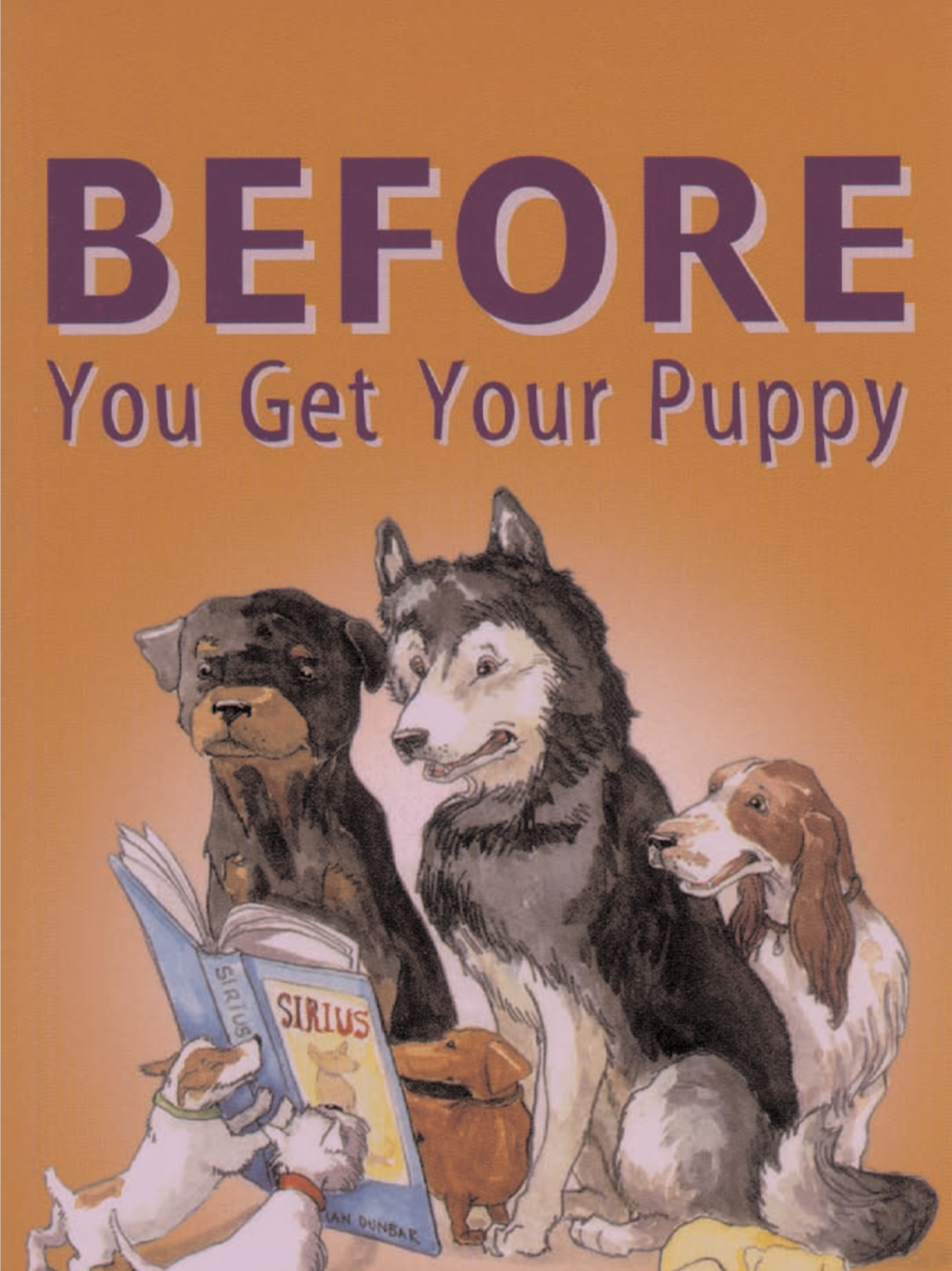 PUPPIES - GLENAHOLM RHODESIAN RIDGEBACKS